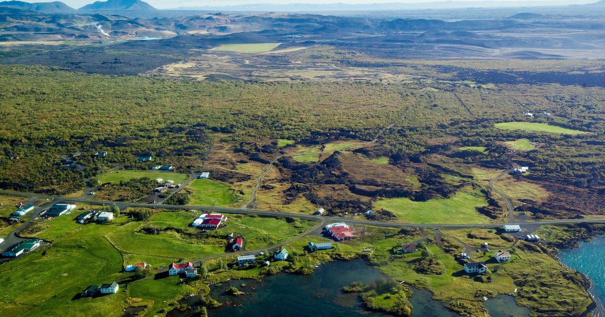 Þegar við snæddum músétna nammið